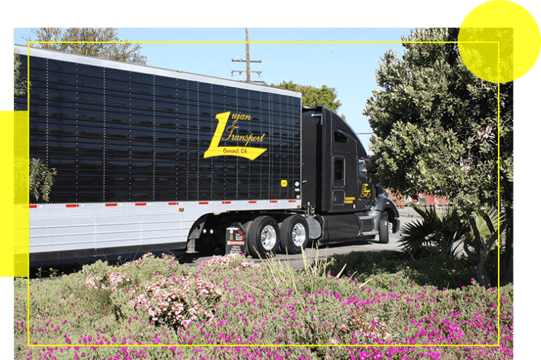 Reliable & Timely Delivery - Lujan Transport Inc.